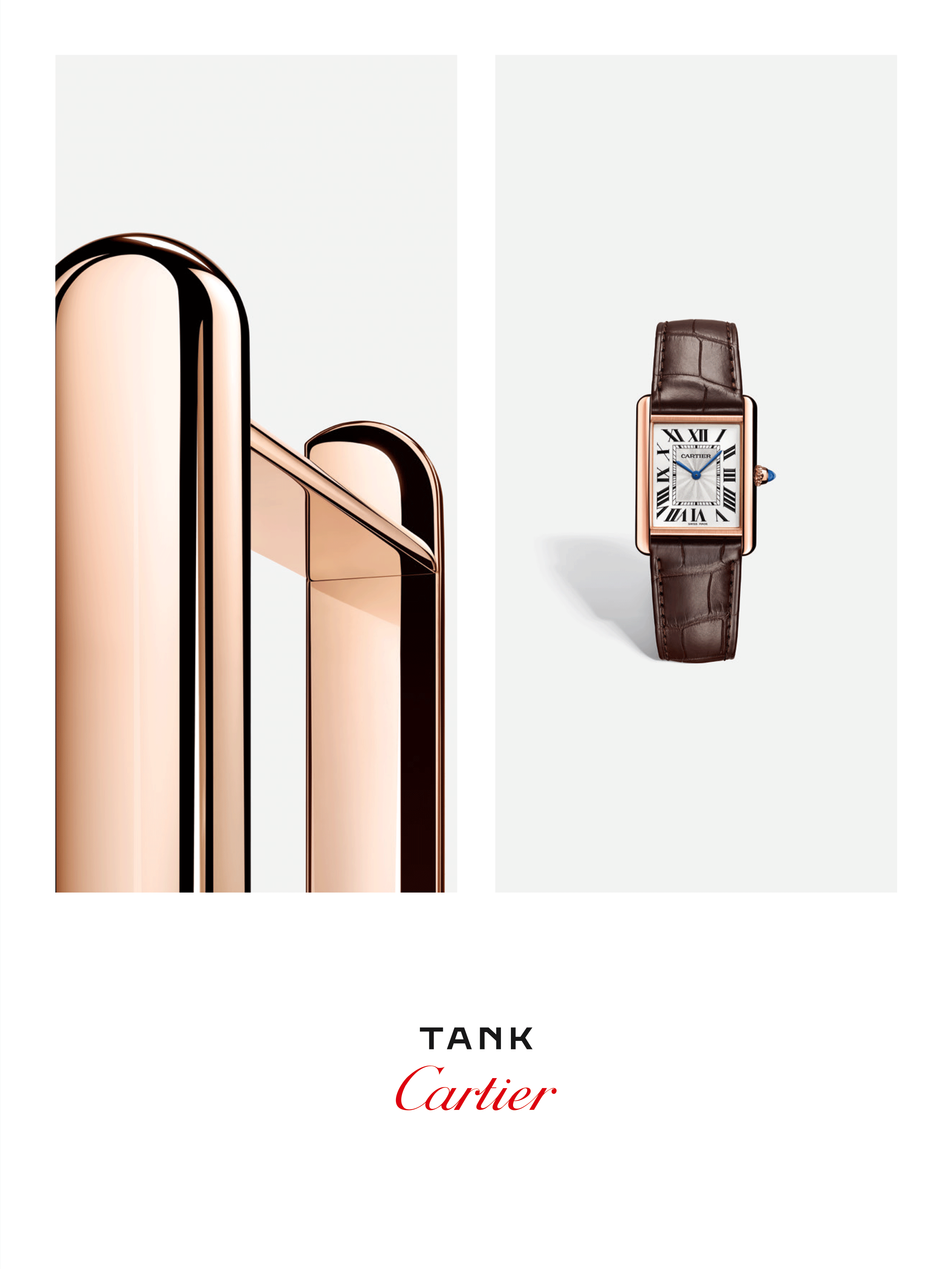 Cartier kicks of 2021 with global advertising campaign highlighting its ...